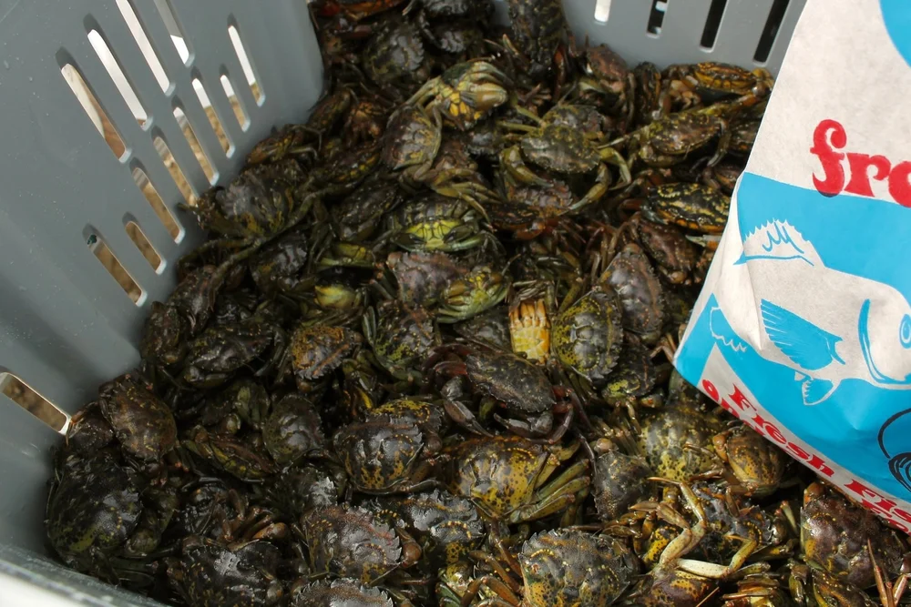 Greencrab.org