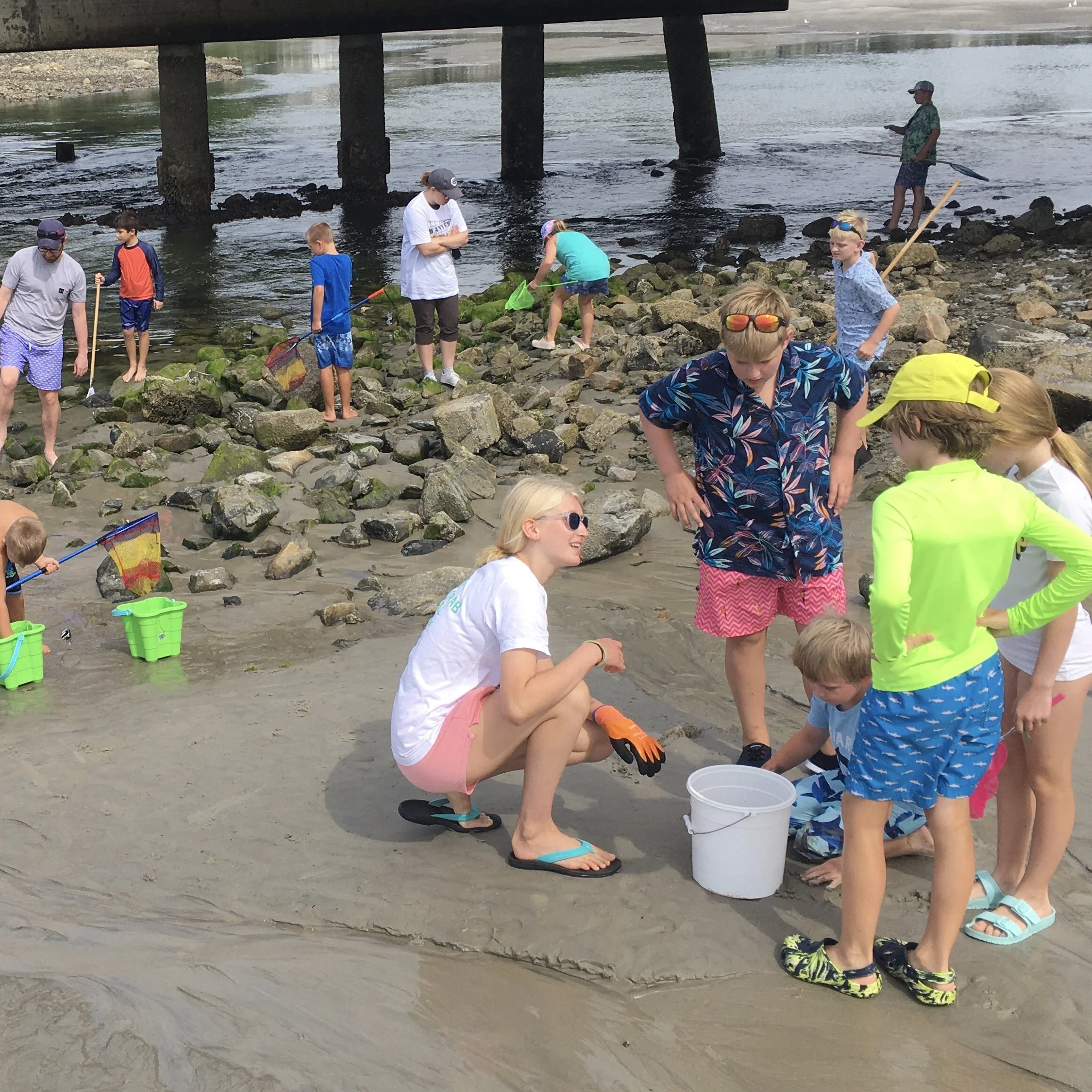 Youth Citizen Scientists Investigate Green Crabs in Ogunquit — Greencrab.org