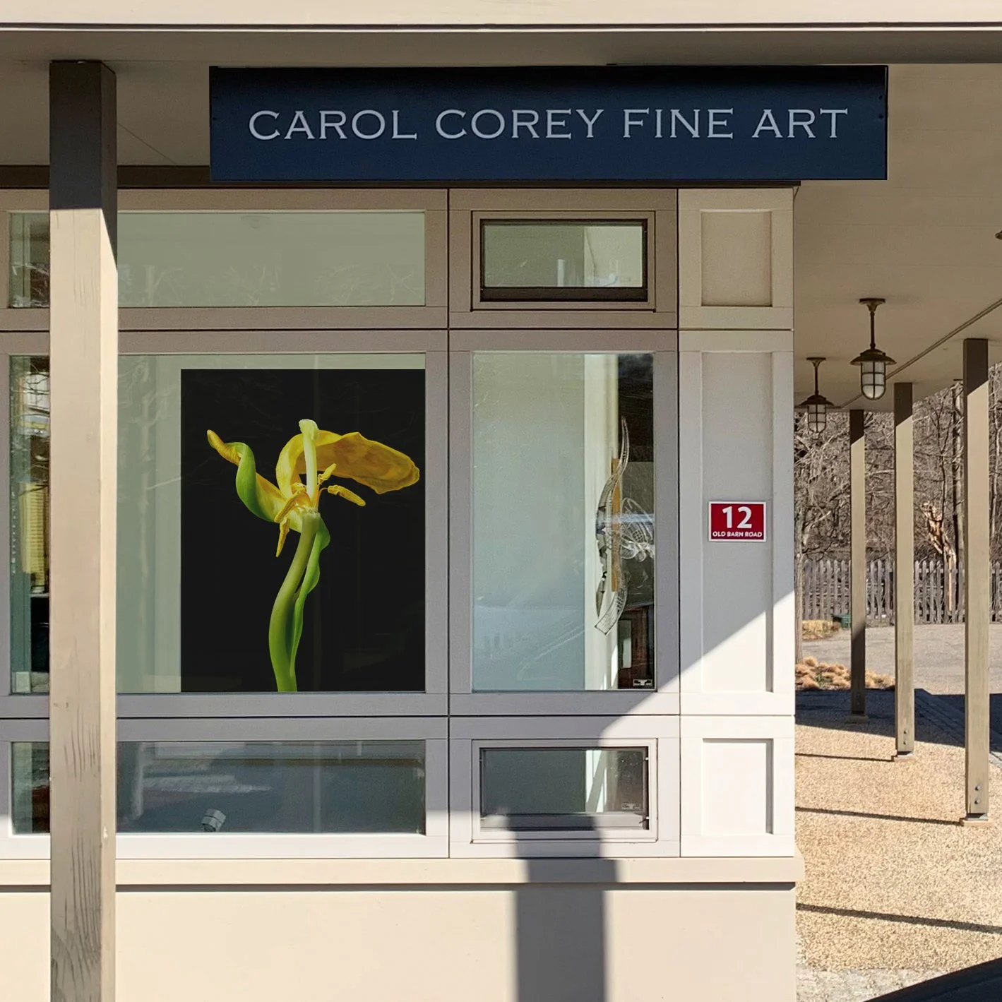 representation — Tim Nighswander