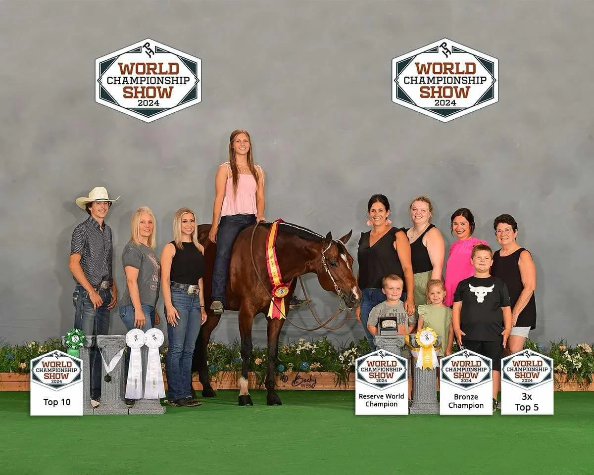 Sale Horses — Five 2 Five Performance Horses