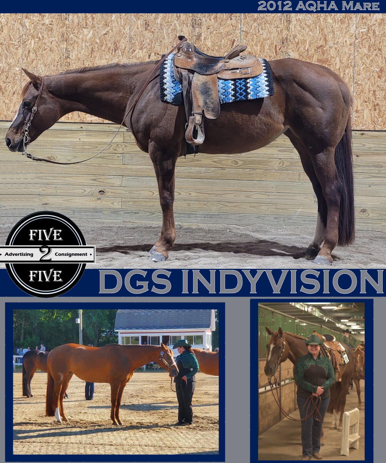 Sale Horses — Five 2 Five Performance Horses