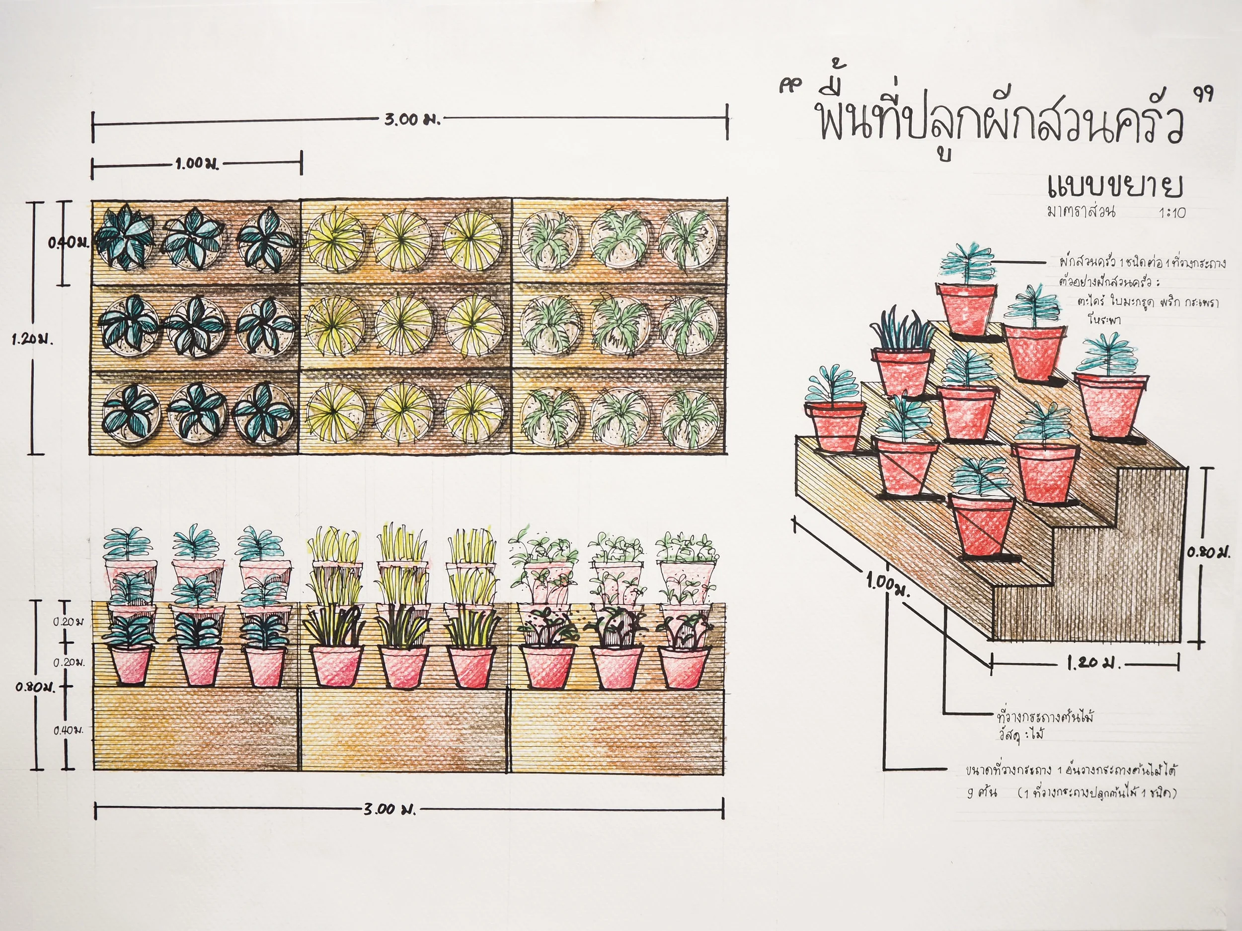 Openspace — Physical activity in a Baan Mankong community space: An ...