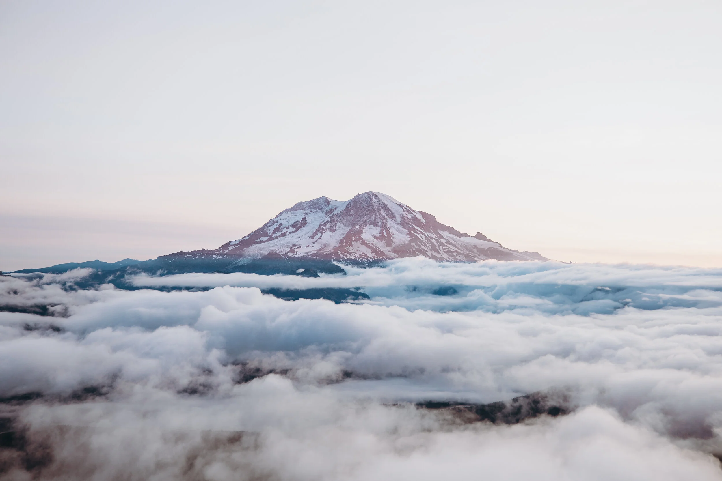 mari erickson photography