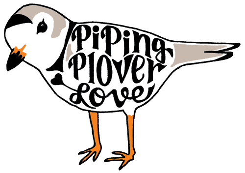 Piping Plover Love