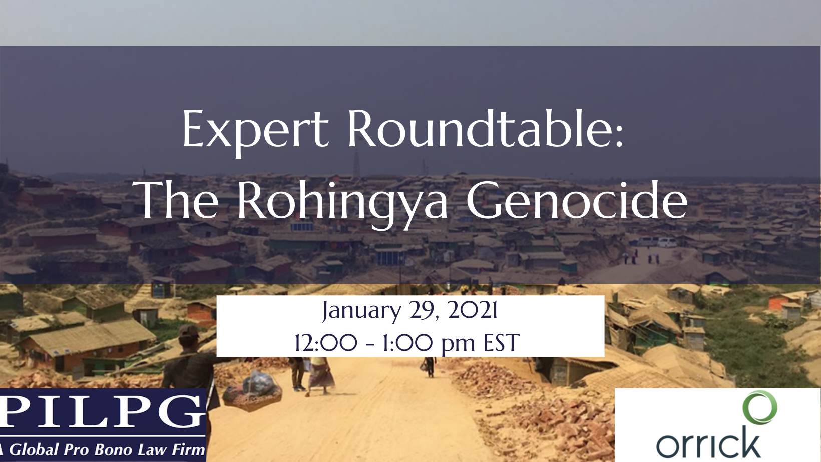 Expert Roundtable: The Rohingya Genocide — Public International Law ...