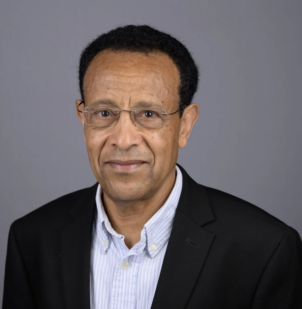 Expert Roundtable: Ethiopia's Amhara conflict — Public International ...