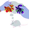 MEDIUM | The Mystery of the Brain — Lily Padula | Illustration and Design