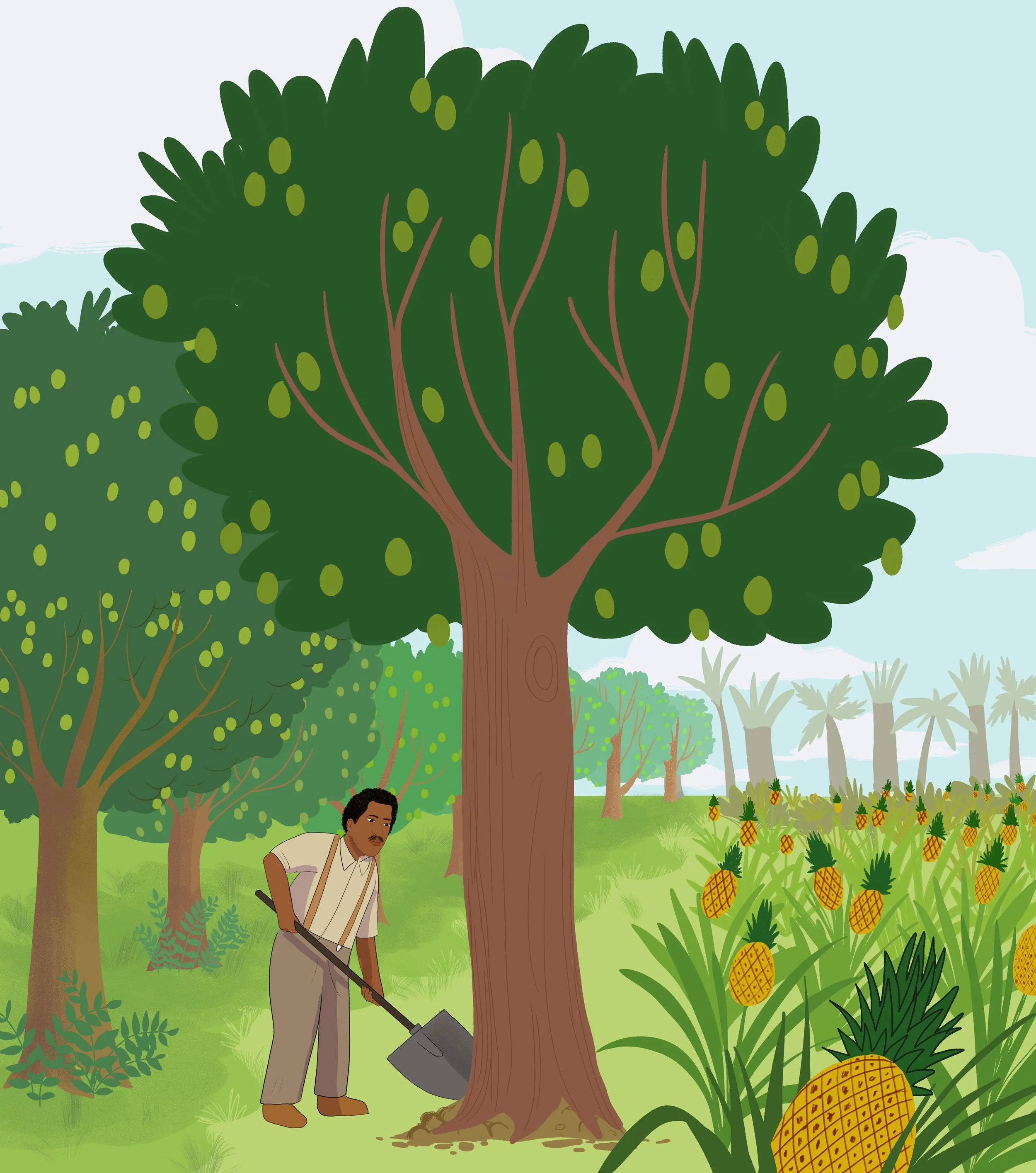 The Wilderness Society | Biscayne National Park — Lily Padula ...