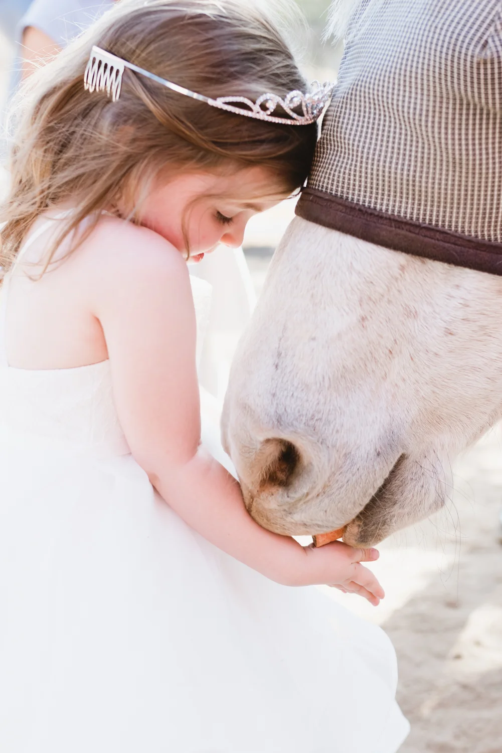 JO Photography — Portfolio | Wedding Photography