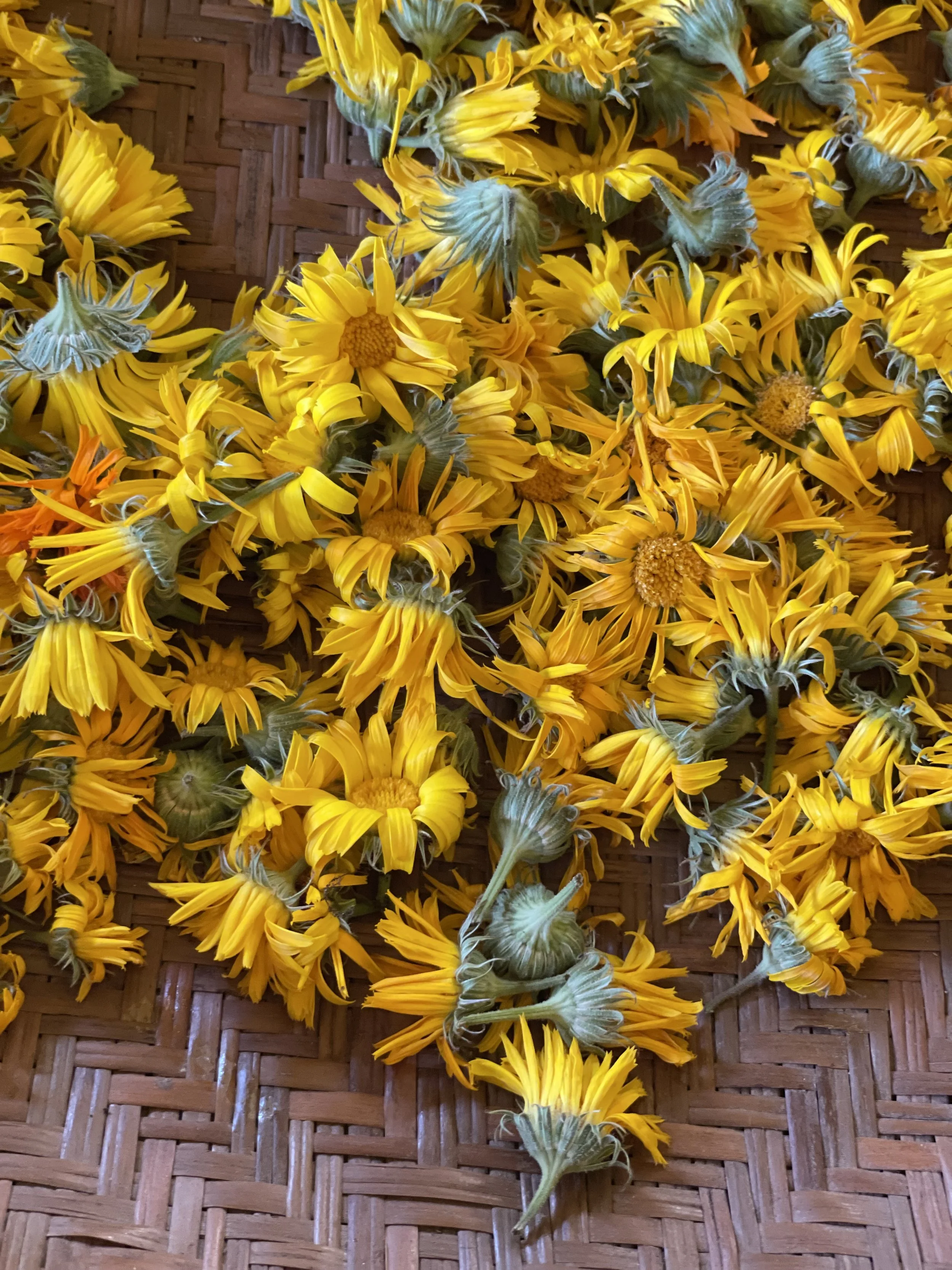 Private Spiritual & Ceremonial Healing Retreats | Individuals, Couples ...