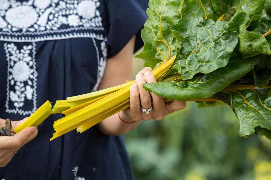 NOURISHED MAMÁ — Kitchen Curandera