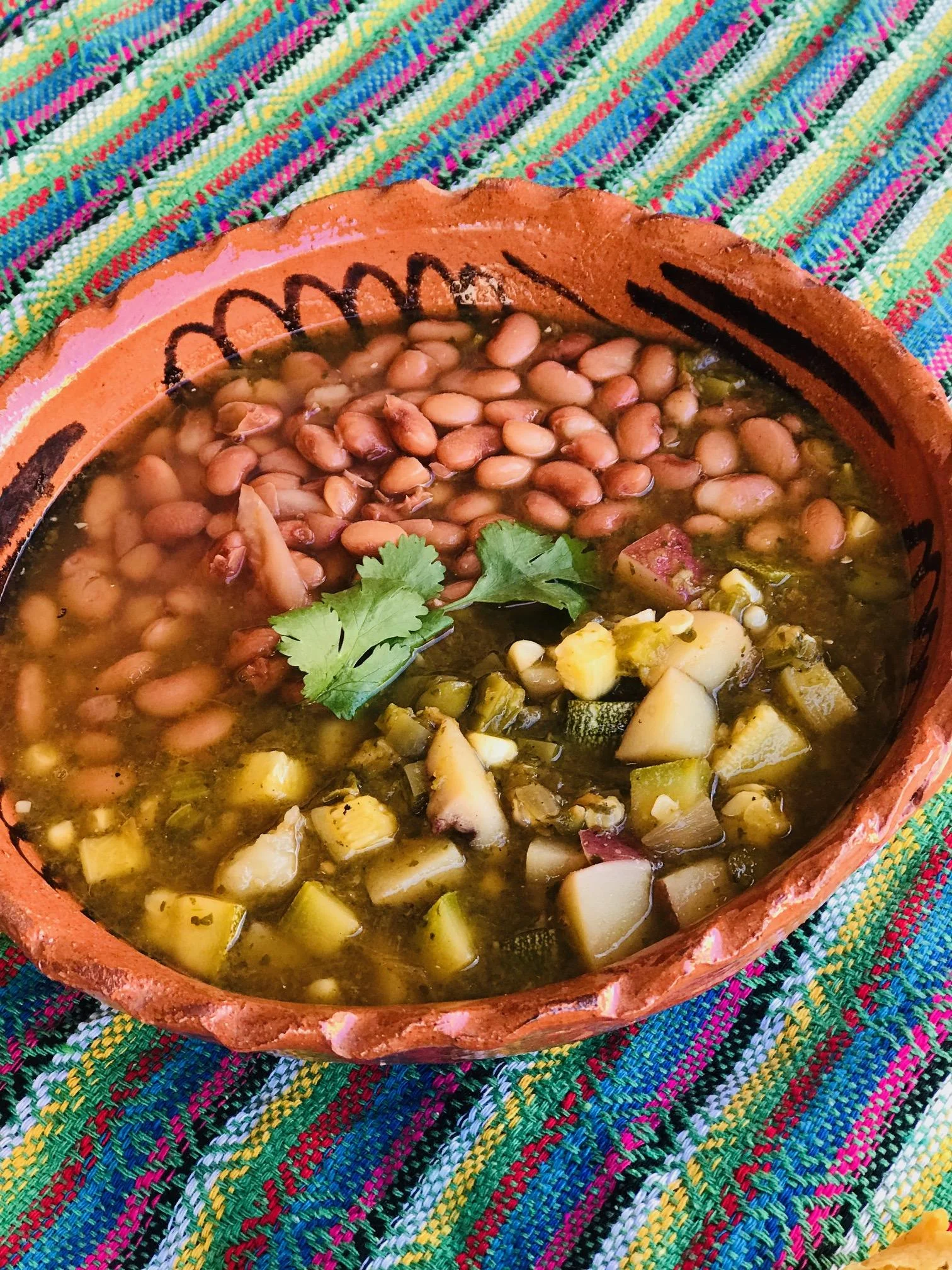 VERDOLAGAS EN CHILE VERDE — Kitchen Curandera