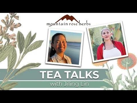 MEDIA — Kitchen Curandera