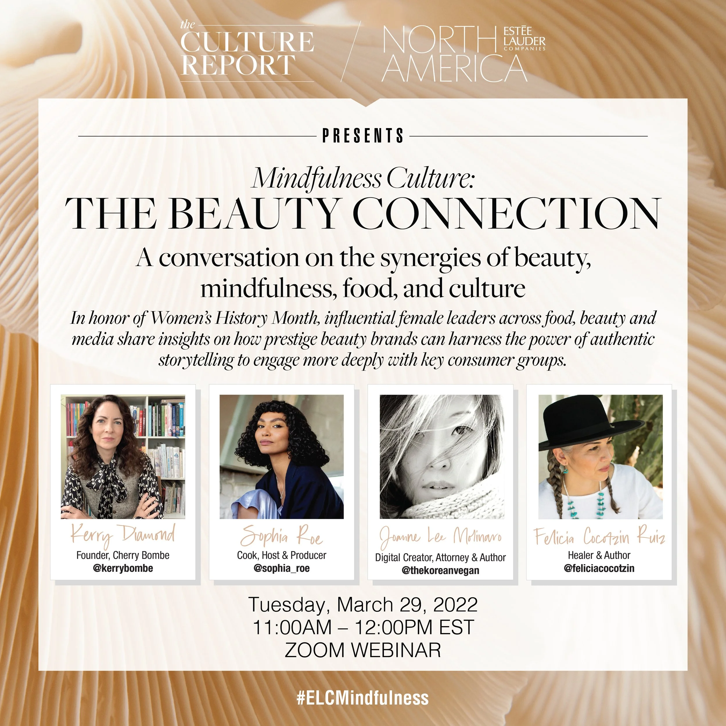 OFFERINGS — Kitchen Curandera