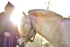 Our Story — Little Bit Therapeutic Riding Center