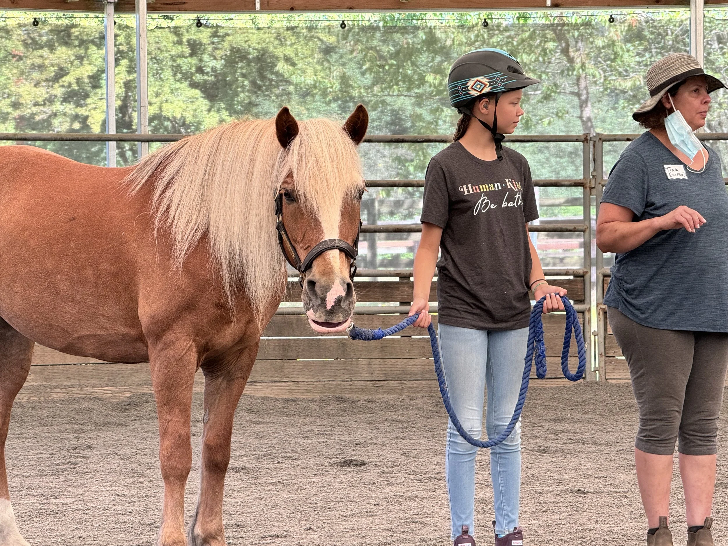 Blog — Little Bit Therapeutic Riding Center