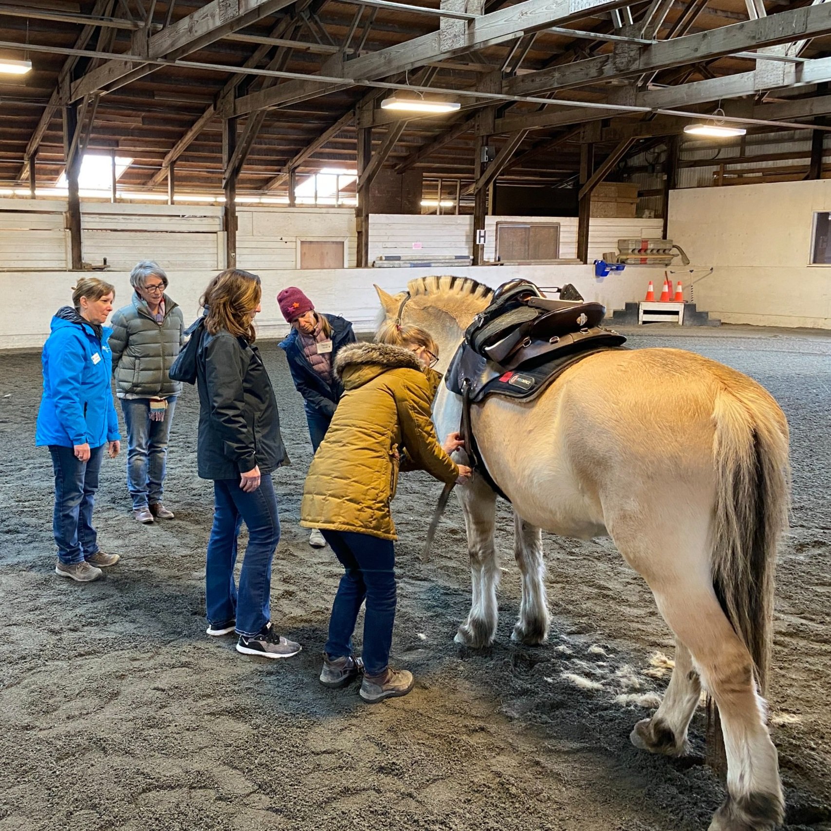 Equine-Assisted Leadership Development Academy — Little Bit Therapeutic ...