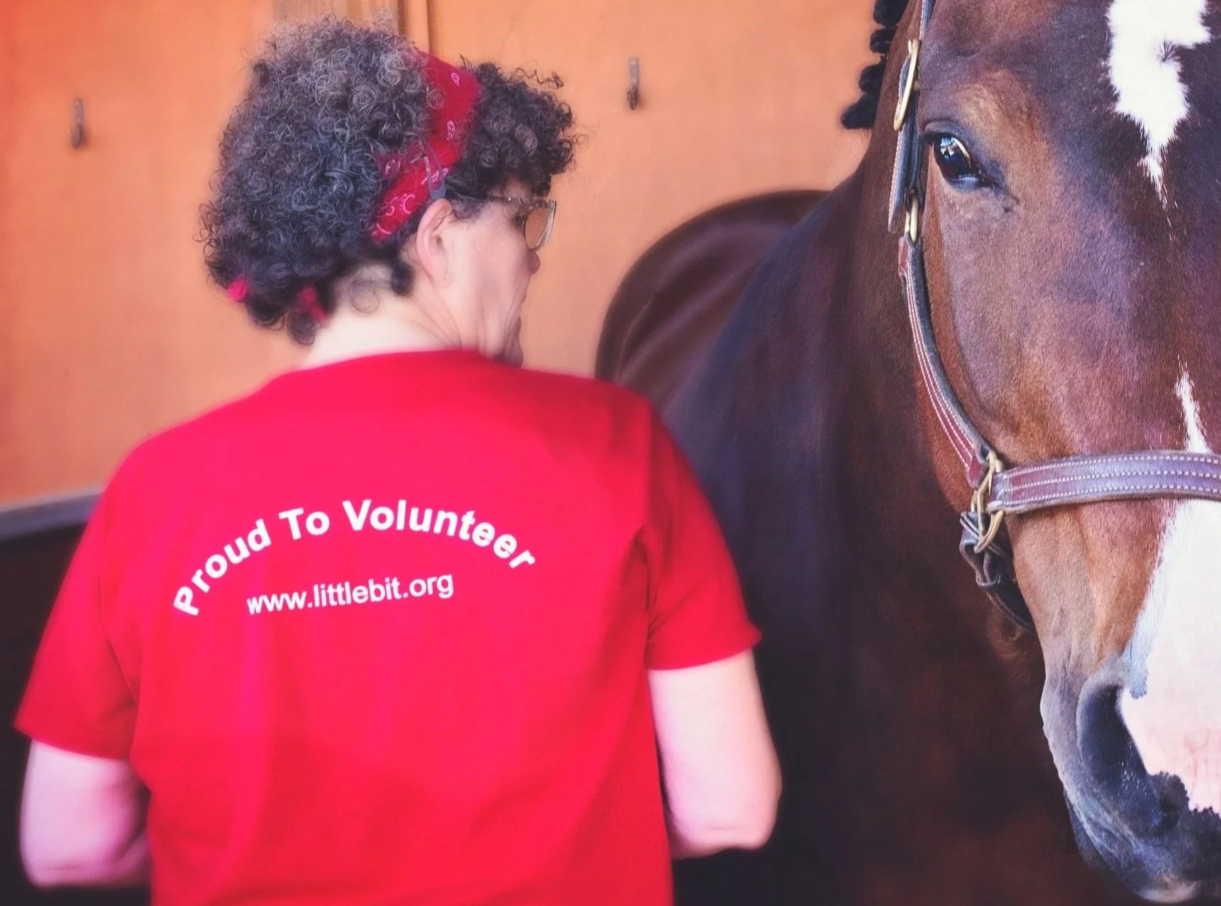 Our Story — Little Bit Therapeutic Riding Center