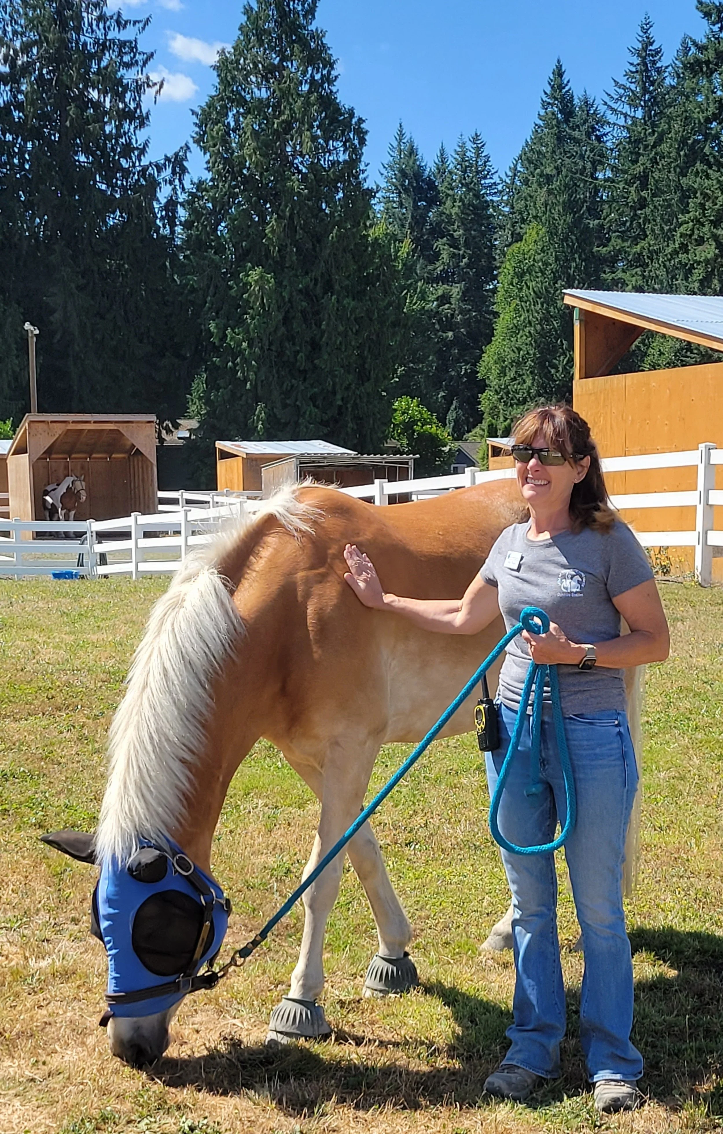Blog — Little Bit Therapeutic Riding Center