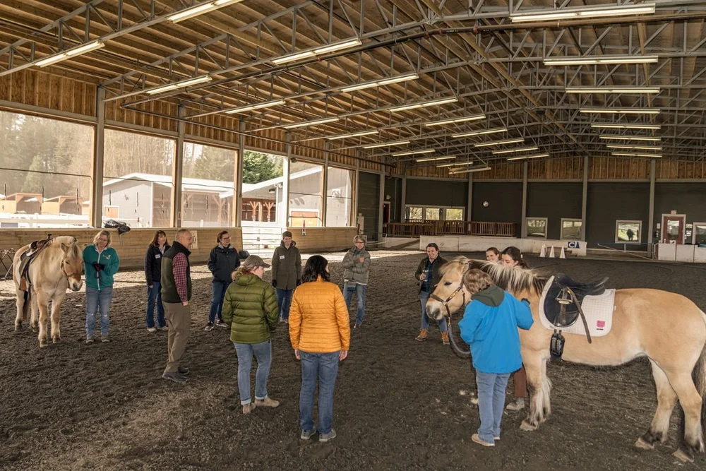 Equine-Assisted Leadership Development Academy — Little Bit Therapeutic ...