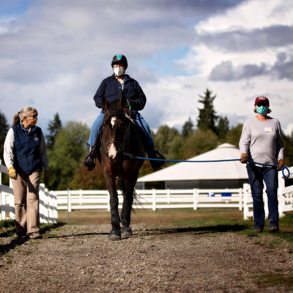 Seattle Times - Blog Page — Little Bit Therapeutic Riding Center