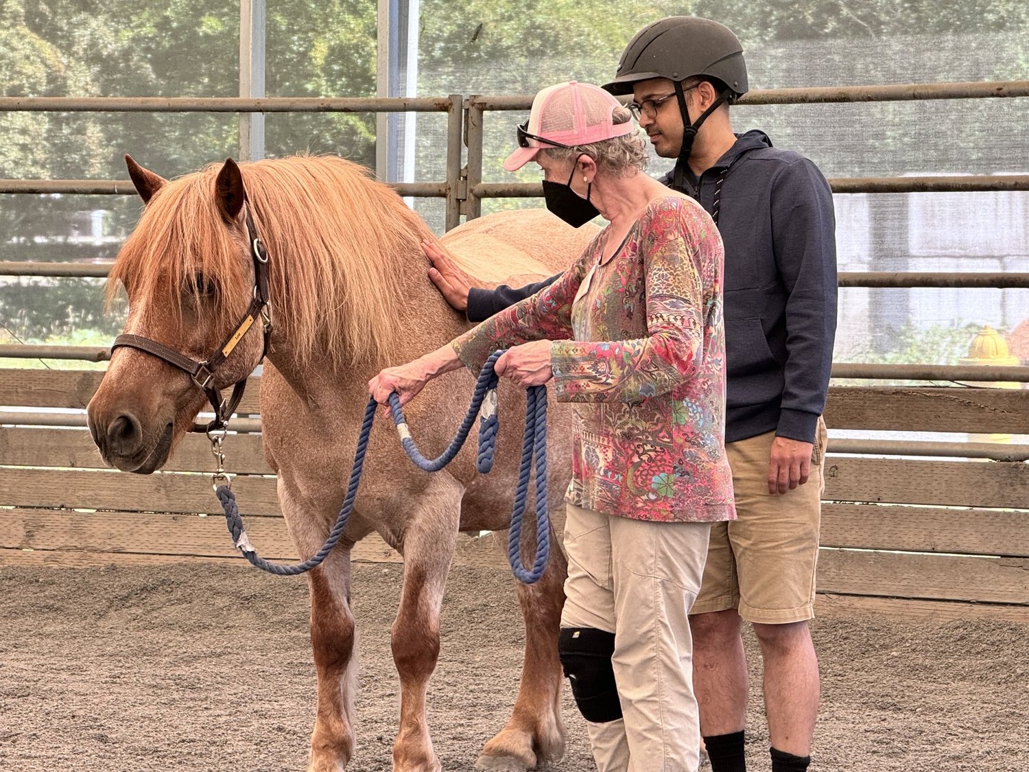Blog — Little Bit Therapeutic Riding Center