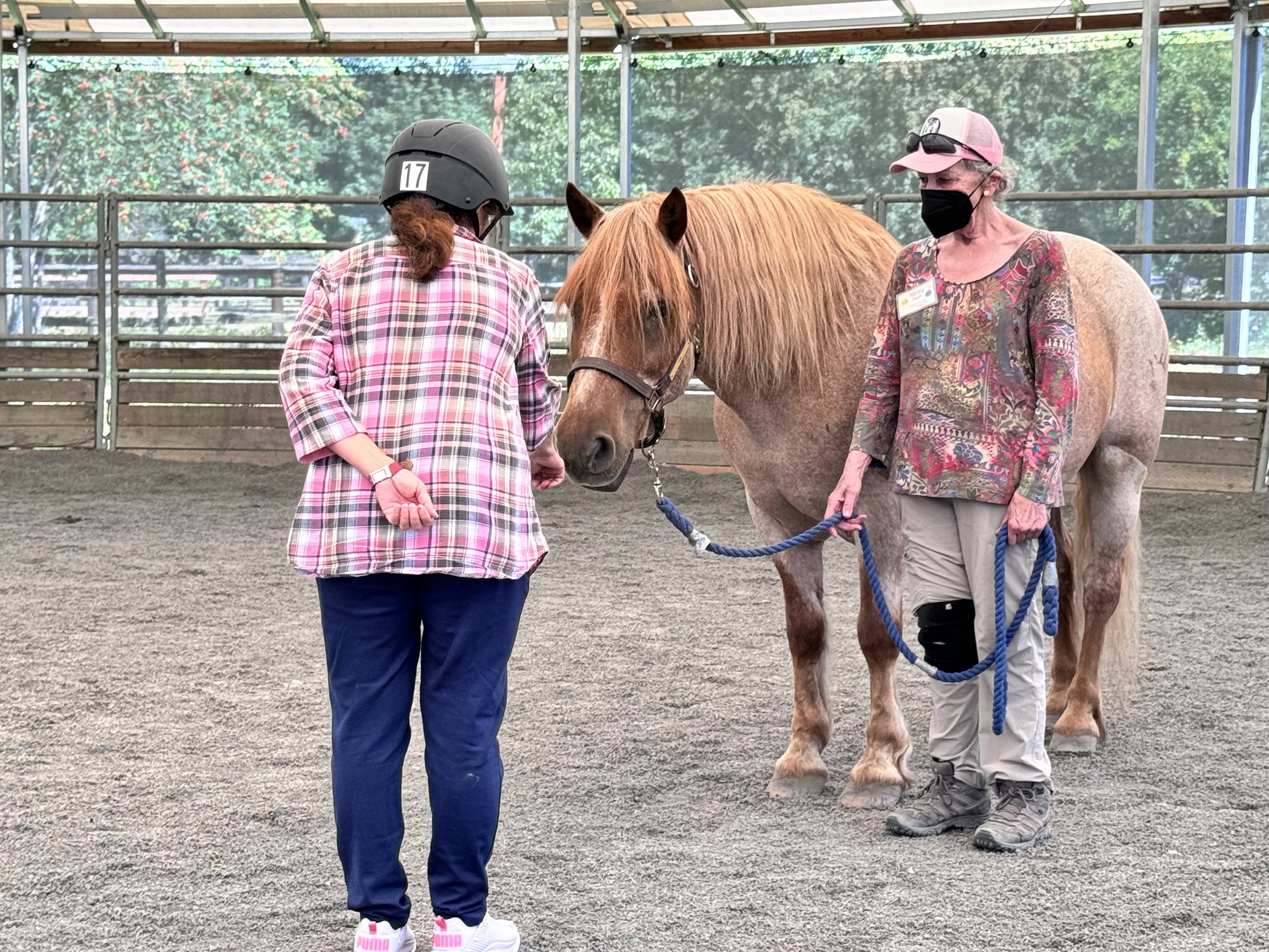 Blog — Little Bit Therapeutic Riding Center