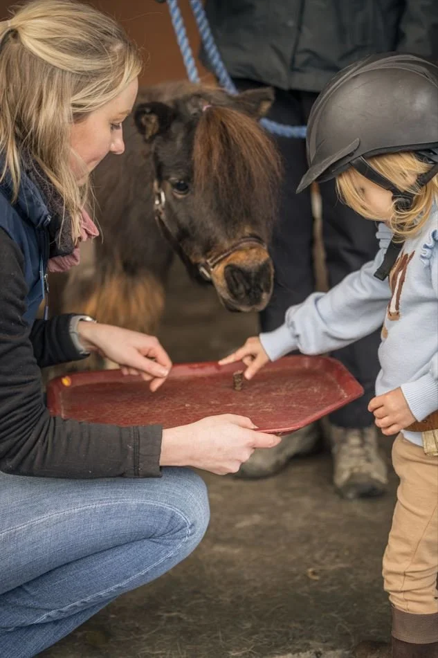 Blog — Little Bit Therapeutic Riding Center