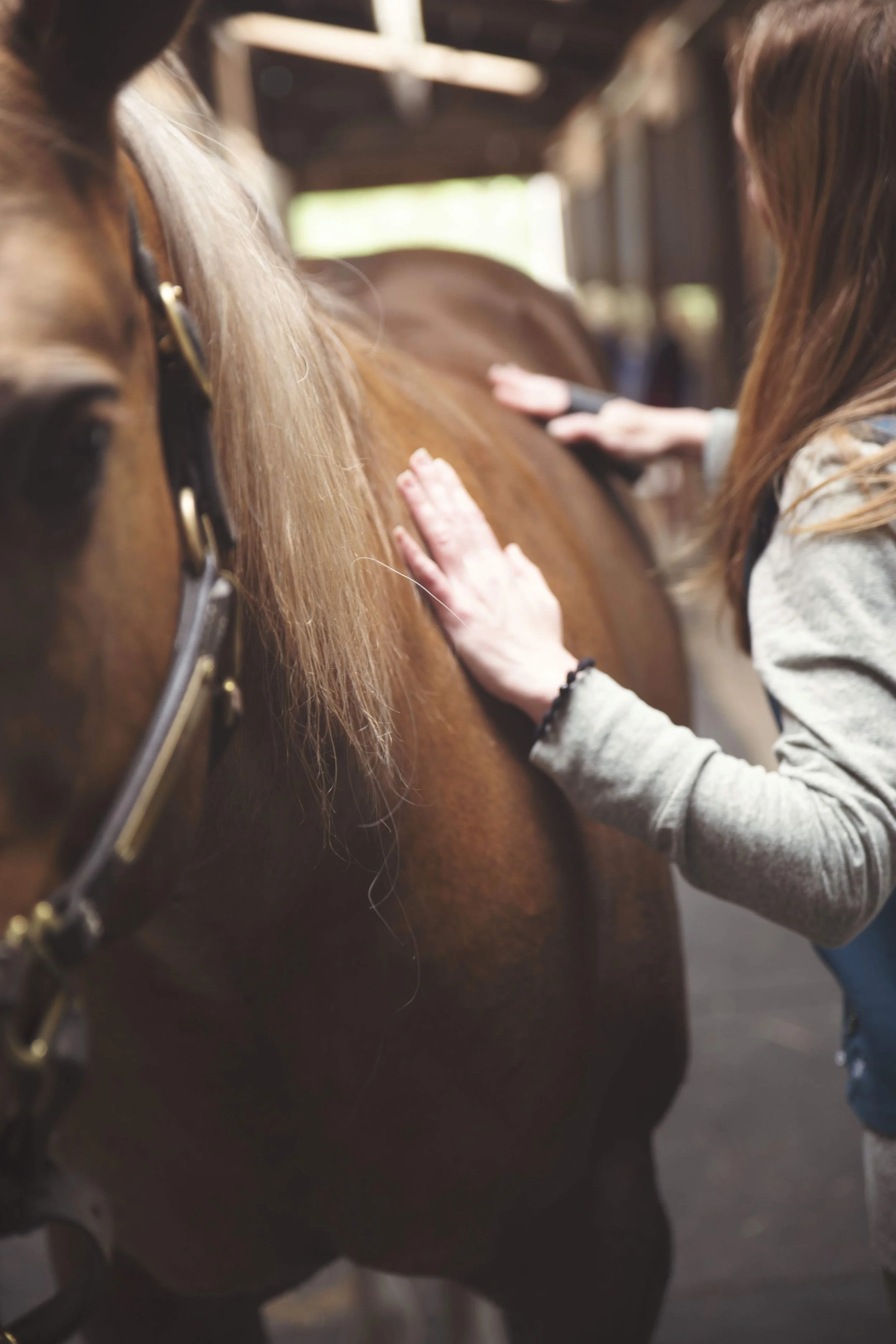 Equine-Assisted Leadership Development Academy — Little Bit Therapeutic ...
