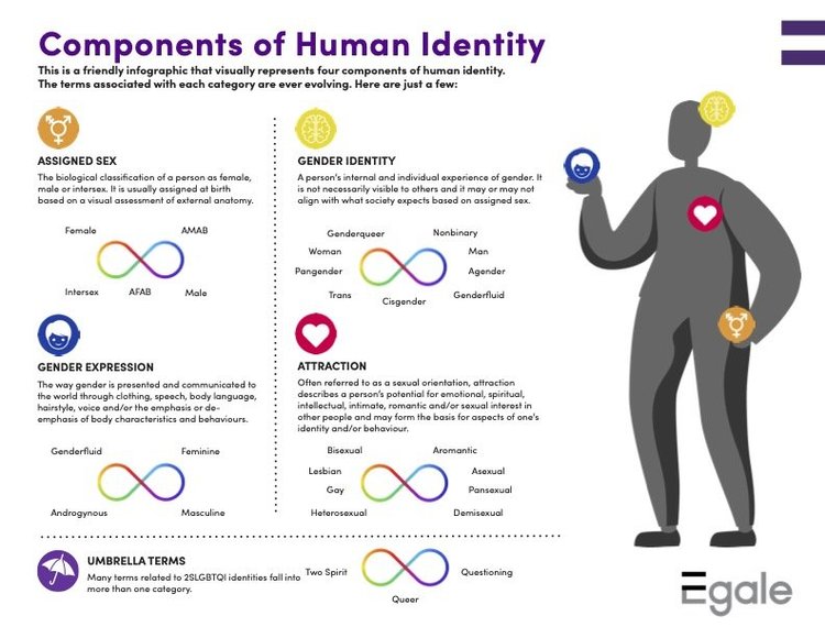 Meet the Genderbread Person • What's On Queer Magazine