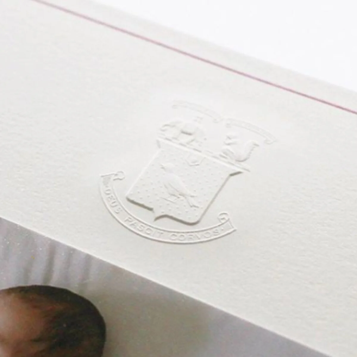 Paper/Ink Colors — Dear Elouise