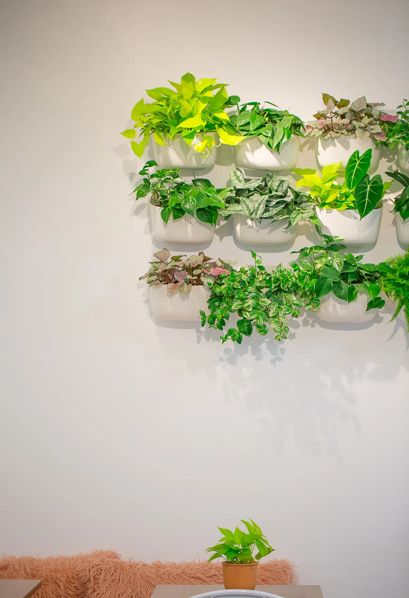 Craft & Common — LemonHearted