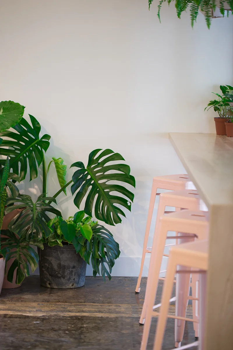 Craft & Common — LemonHearted