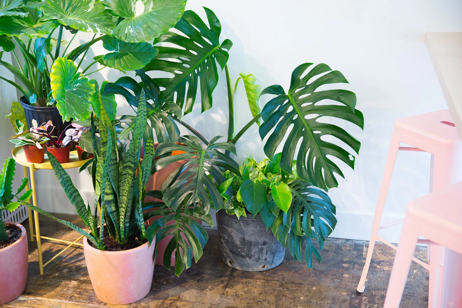 Craft & Common — LemonHearted