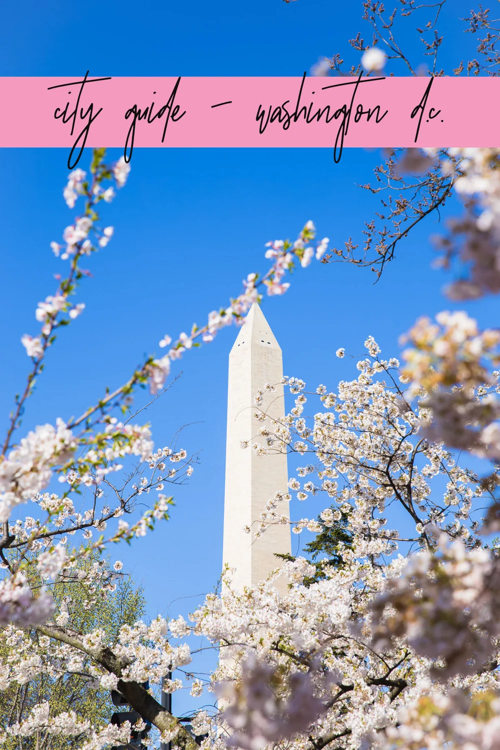 City Guide - Washington D.C. — LemonHearted