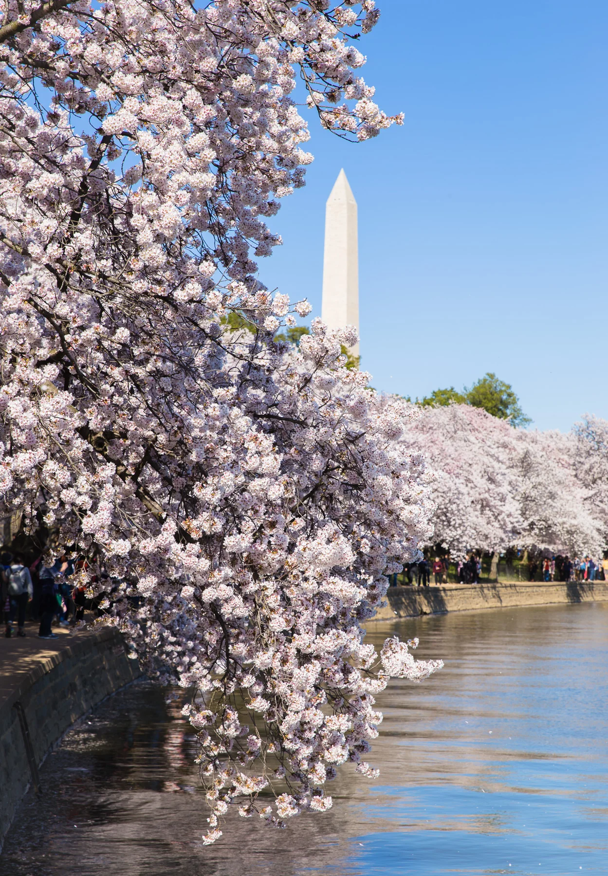 City Guide - Washington D.C. — LemonHearted