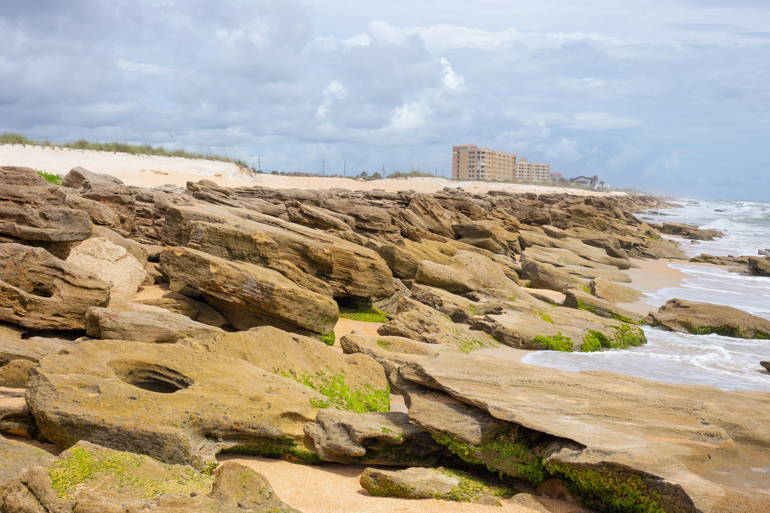 Washington Oaks State Park — LemonHearted