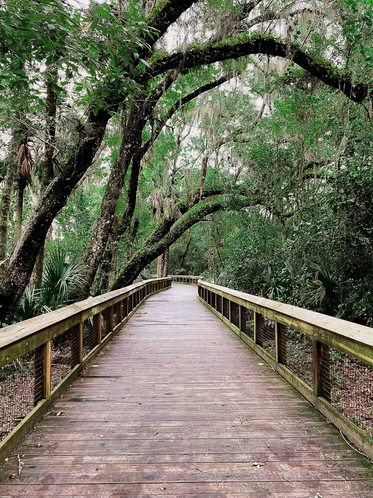 Florida Landscape Parks