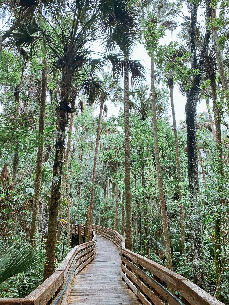 7 local parks to explore in Central Florida — LemonHearted