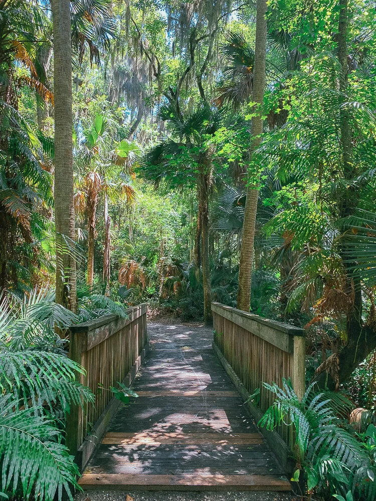 Florida Landscape Parks