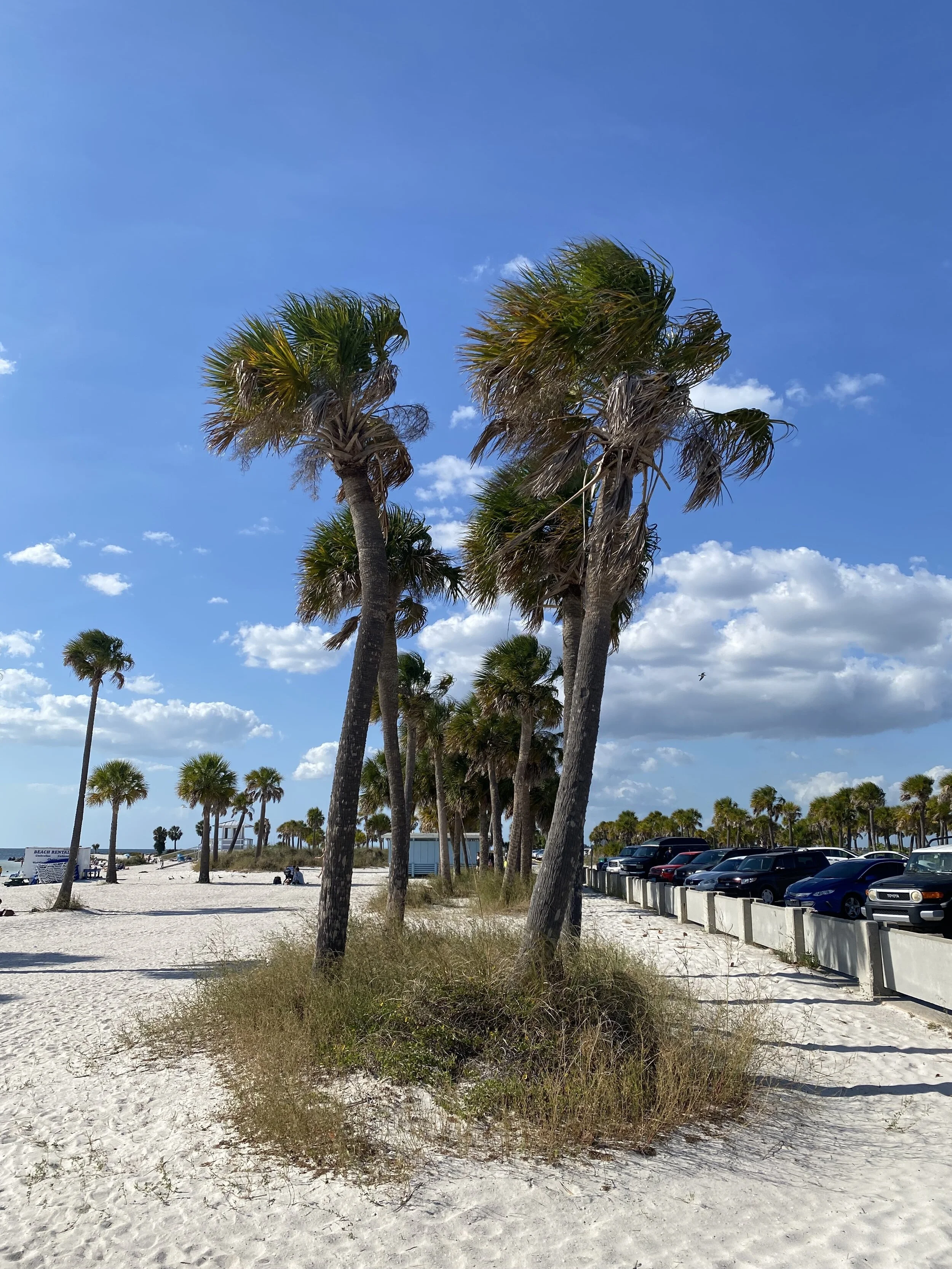 West Coast Beach Towns — LemonHearted