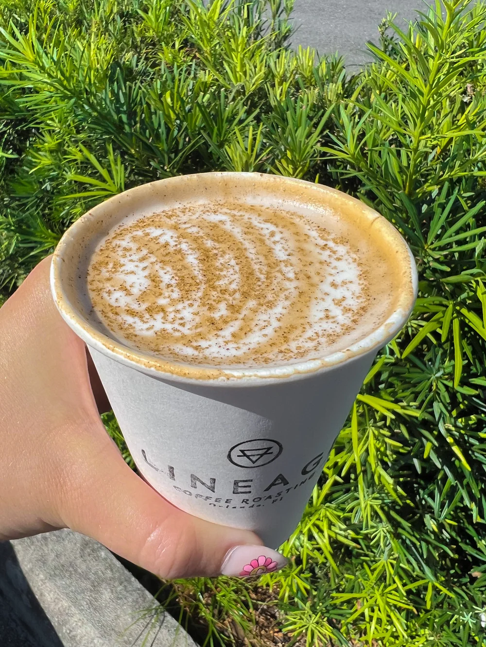 Fall Craft Coffee in Central Florida — LemonHearted