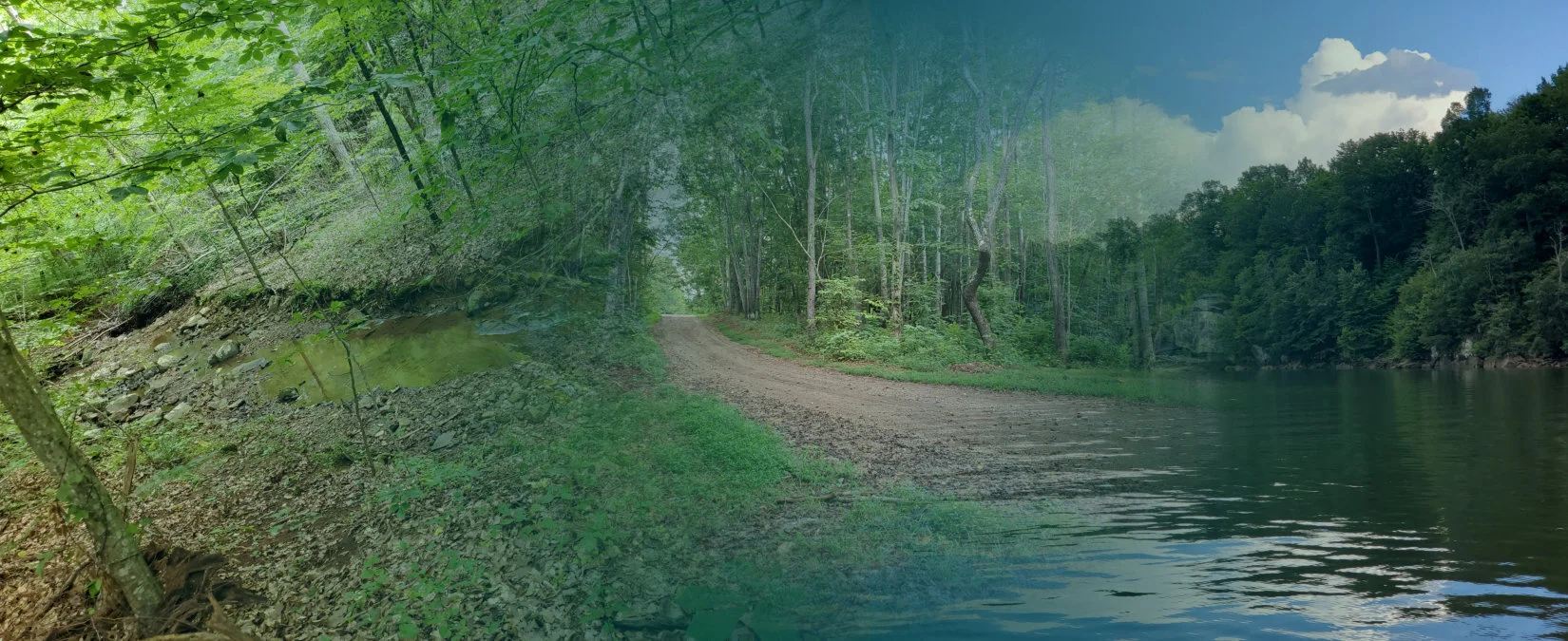 Shady Cove's Ecosystem — Shady Cove