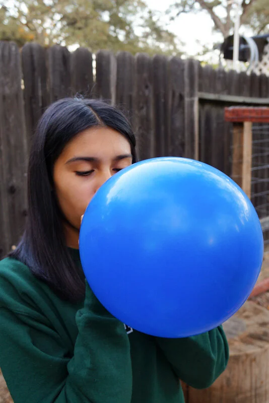 Puffed Up Turkey — All About Hope