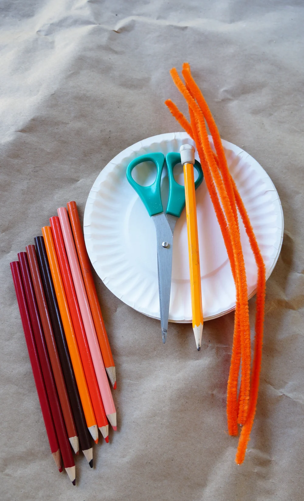 Fuzzy Feet Turkey — All About Hope