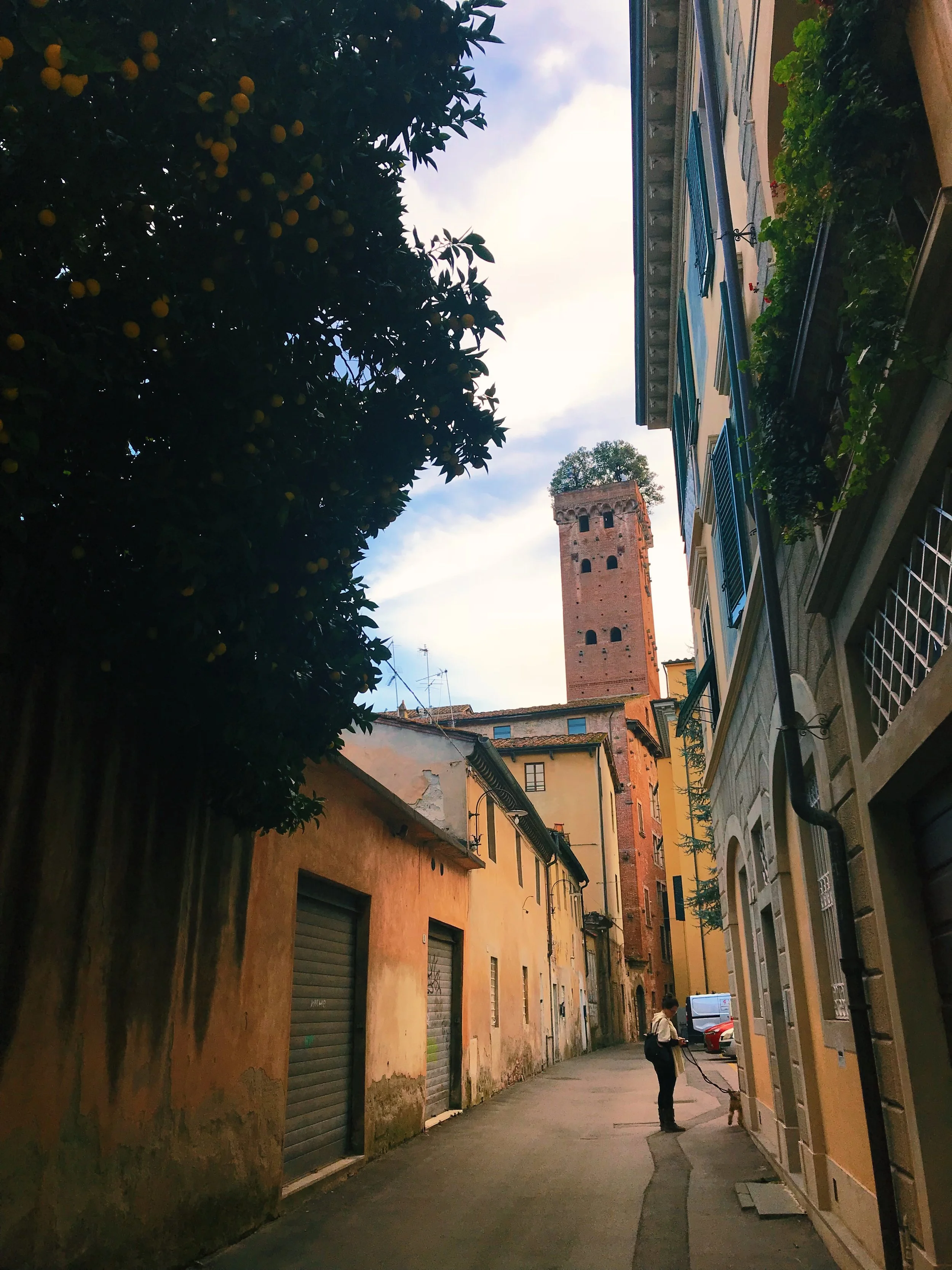 Lucca, Italy: Your Insider Guide on the Best Food and Places to See ...