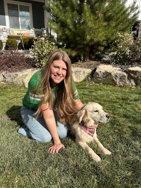 Available Taylormade Mini Golden Retriever puppies — Taylormade ...