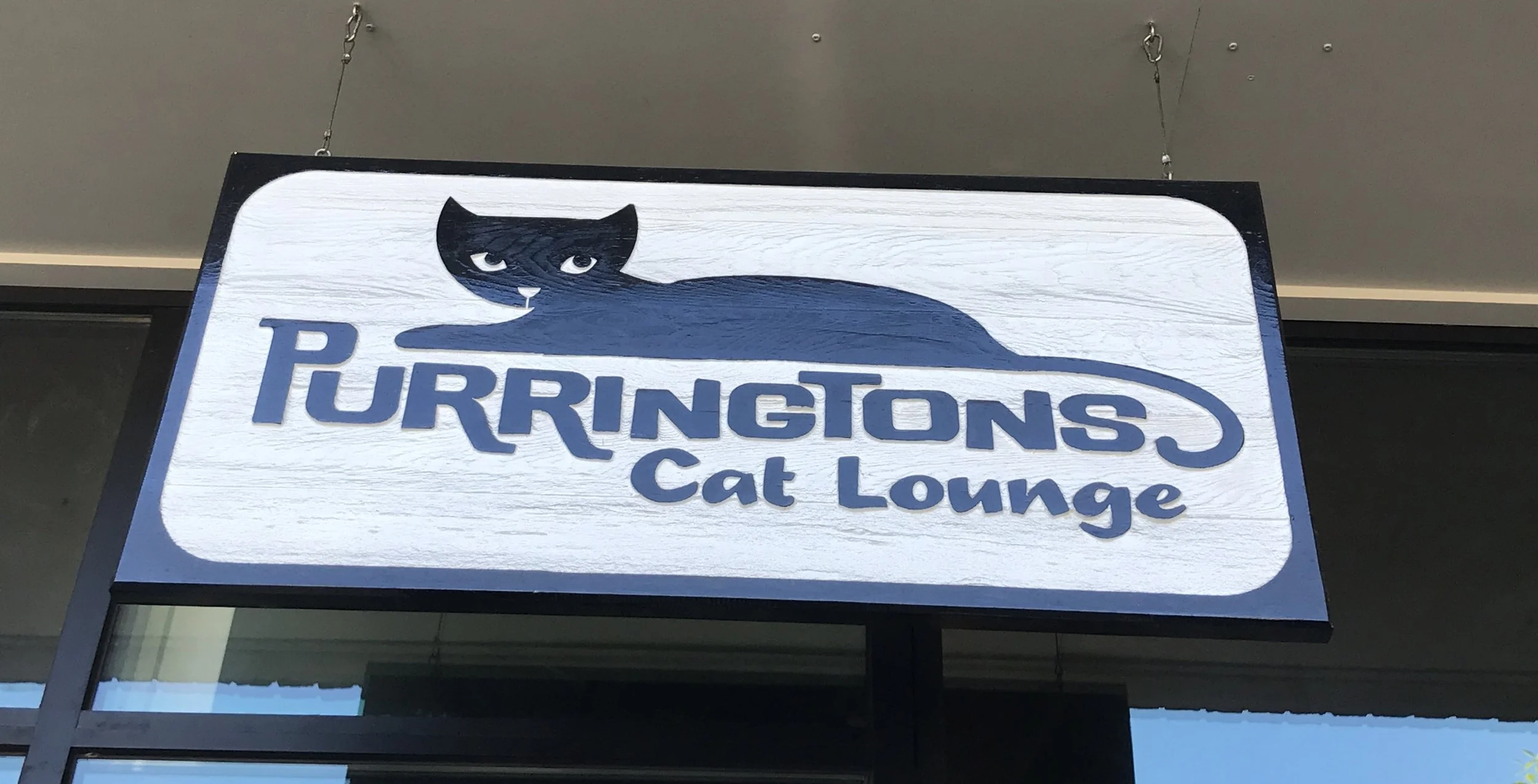 The Coolest Cat Cafe Names The Neighbor s Cat