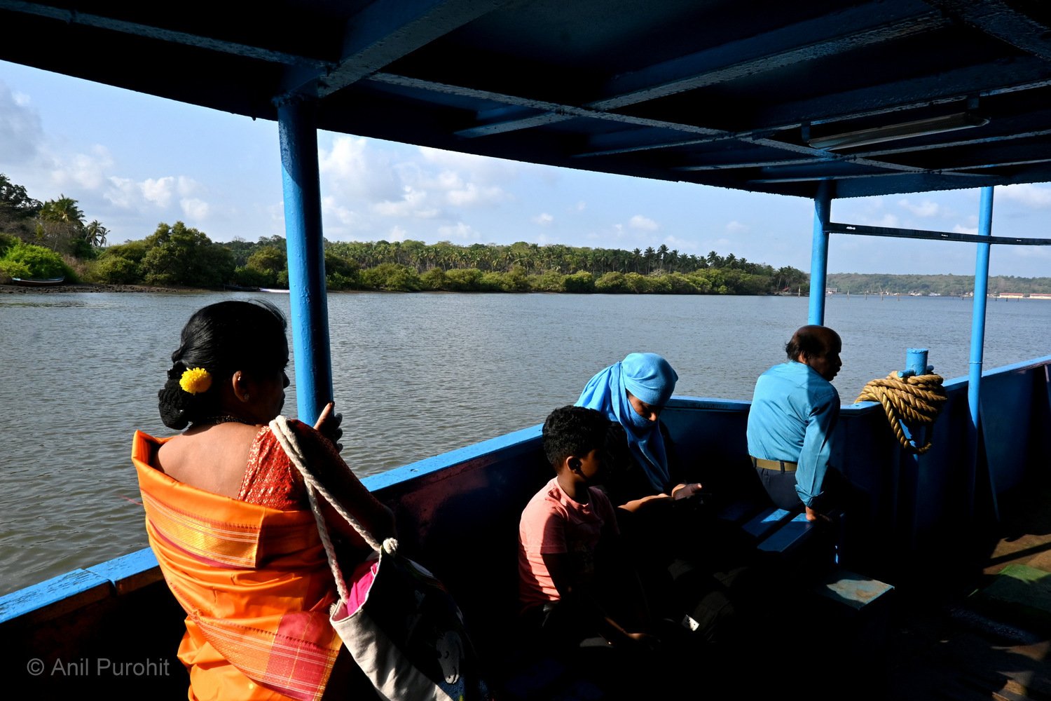 Landscapes — Anil Purohit