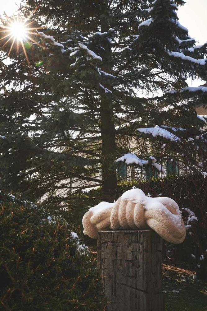 Künstlerin der Woche: Susan Kopp — The View